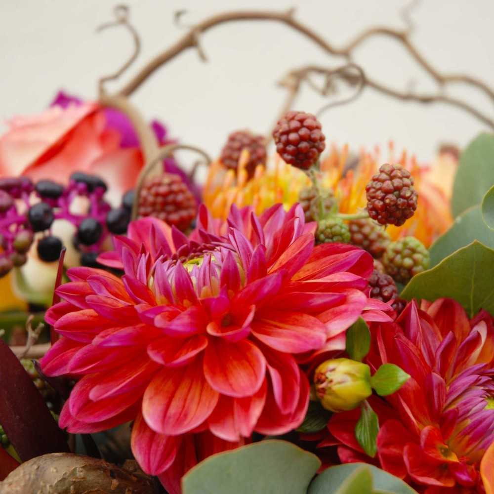 Flower Delivery 6/7 | Online Flowershop | Bouvard Fleurs